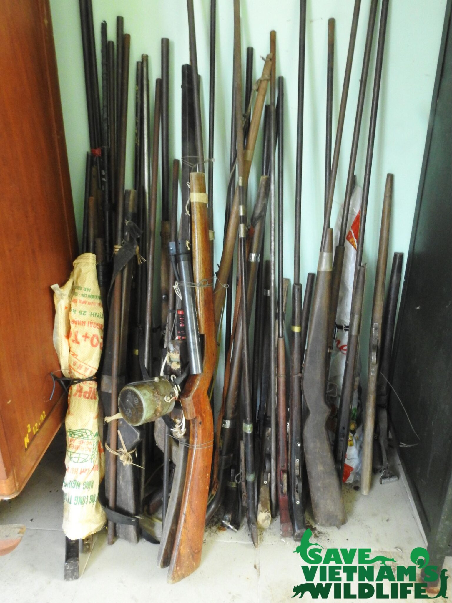 WILD ANIMALS: JOURNEY FROM THE FOREST TO THE DRINKING TABLE - SVW ...