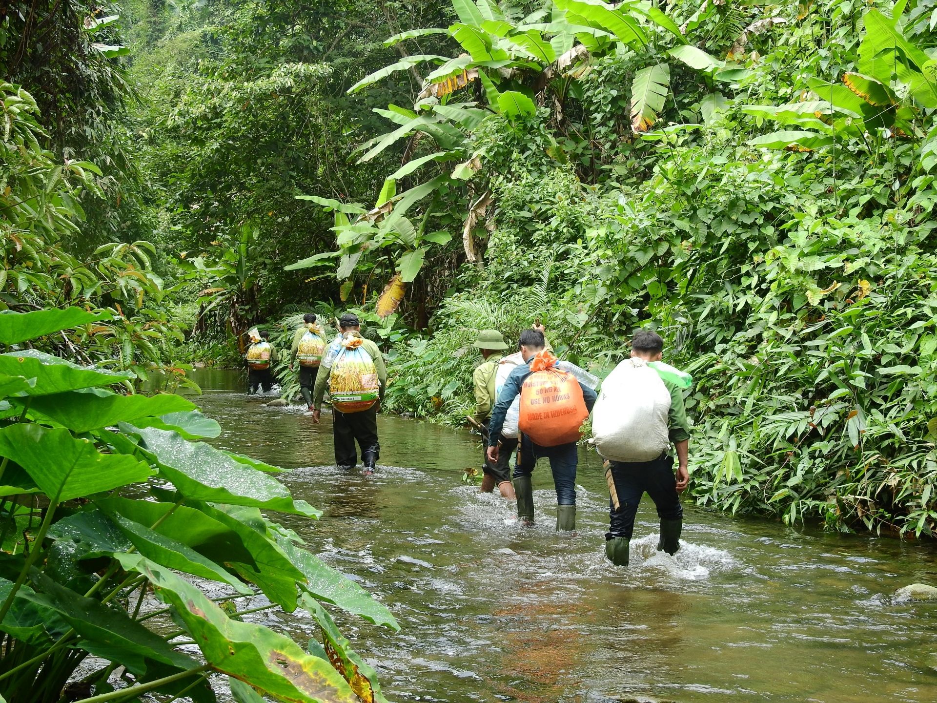 Habitat Protection - SVW - Save Vietnam's Wildlife