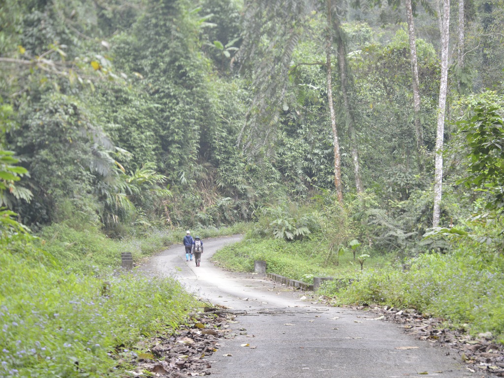 Saving Wildlife by Promoting Eco-tourism in Pu Mat National Park - SVW ...