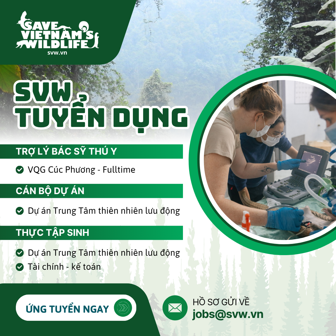 SVW Tuyển dụng vị trí: Thực Tập Sinh Kế Toán. - SVW - Save Vietnam's Wildlife