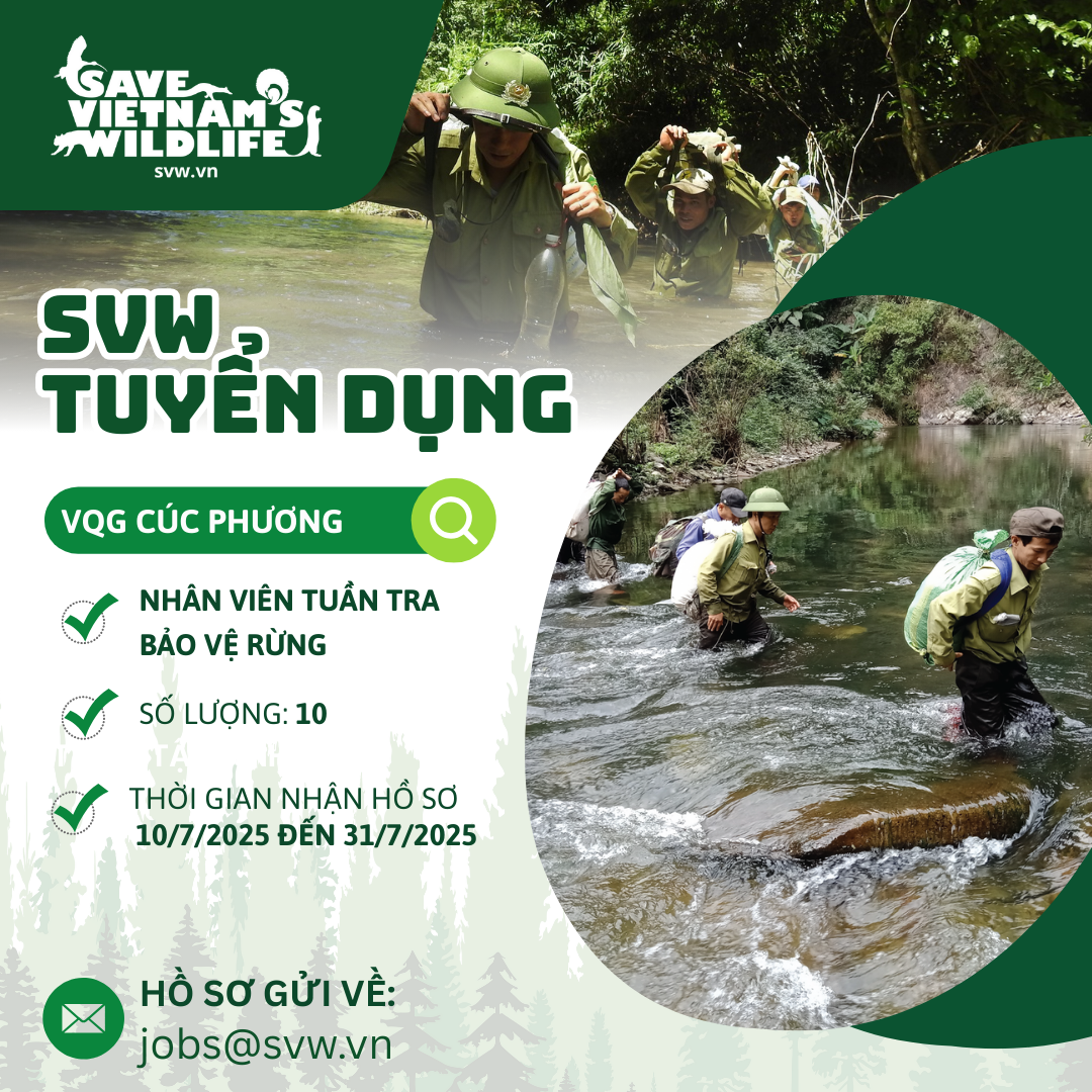 SVW Tuyển dụng vị trí: Nhân viên tuần tra, bảo vệ rừng. - SVW - Save Vietnam's Wildlife